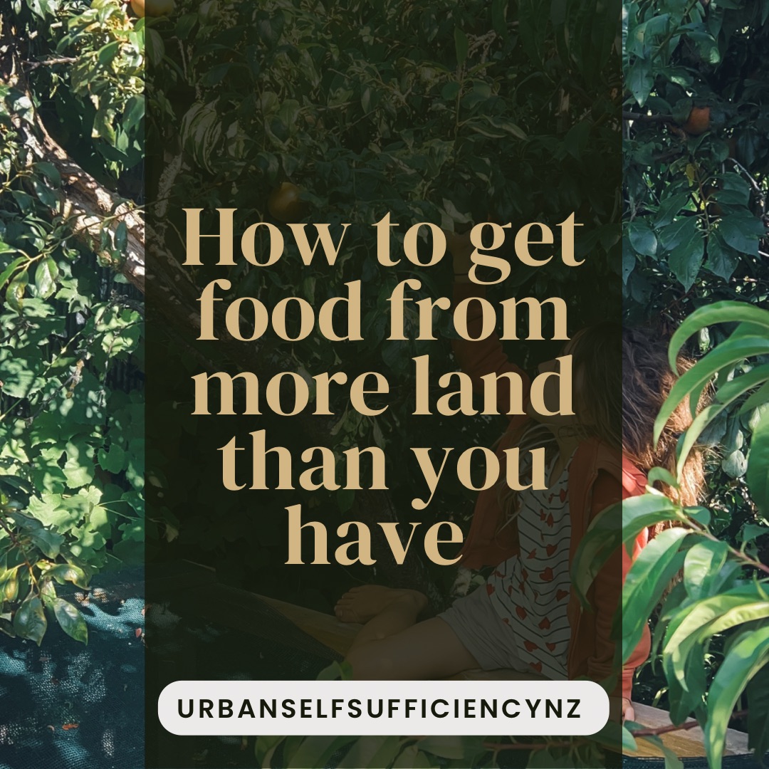 How to get food from more land than you have – Urban Self Sufficiency NZ